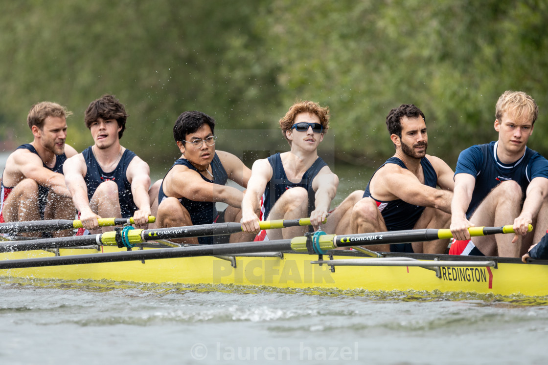 rowing on by lauren hazel - buy prints & digital downloads
